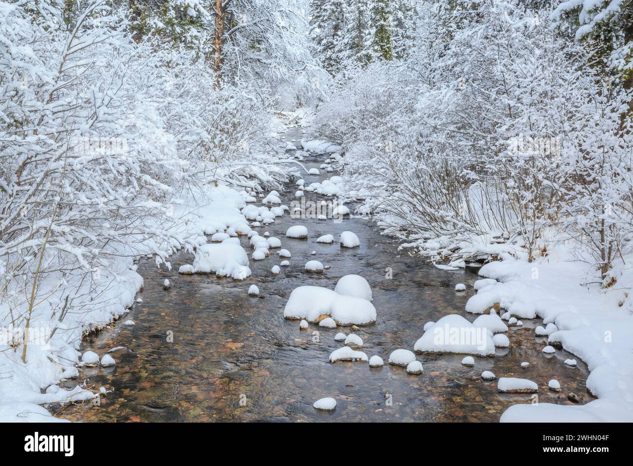 tenmile creek in winter at moose creek campground near rimini, montana ...