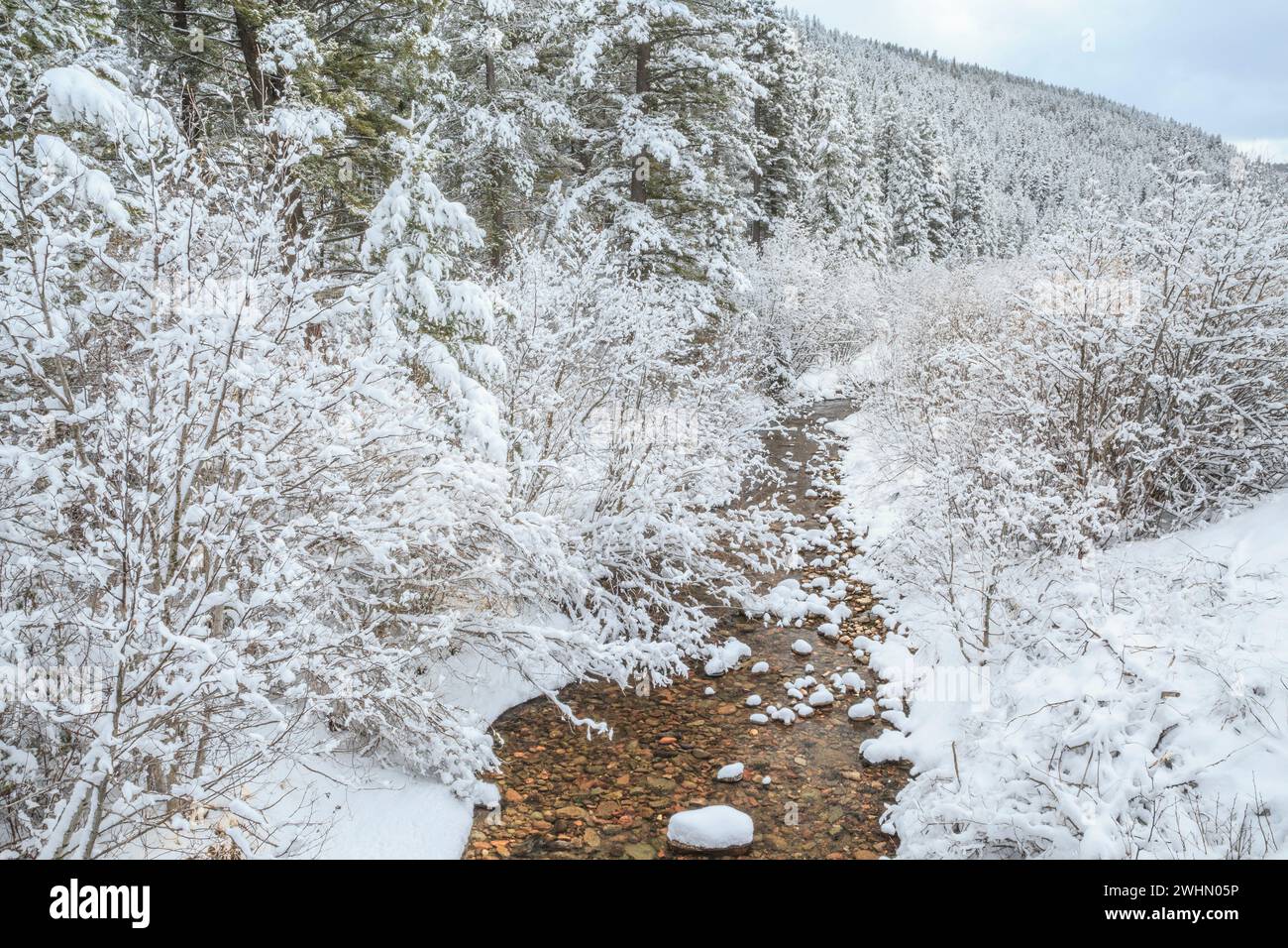 Mt d1409 hi-res stock photography and images - Alamy