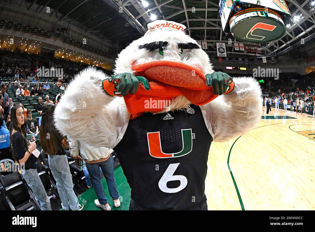 CORAL GABLES, FL - FEBRUARY 10: Miami's mascot, Sebastian the Ibis ...