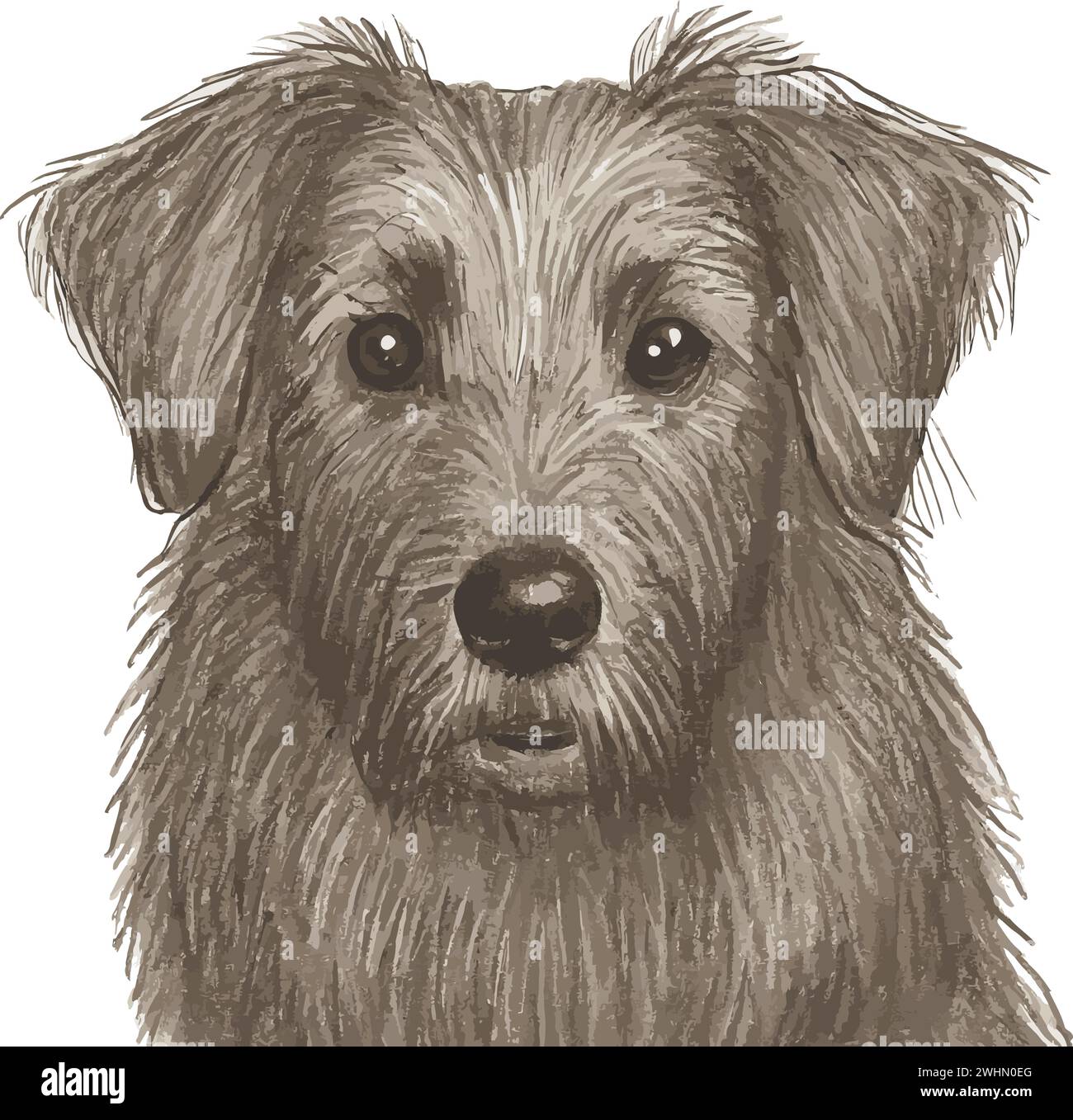 Purebred dog portrait Stock Vector Images - Alamy