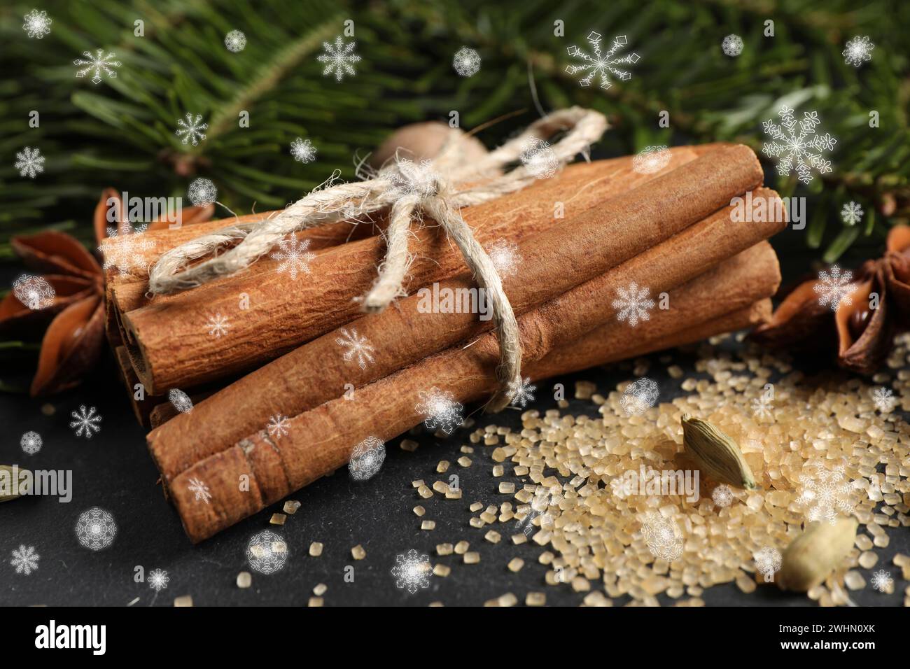 Cardamom tree hi-res stock photography and images - Alamy