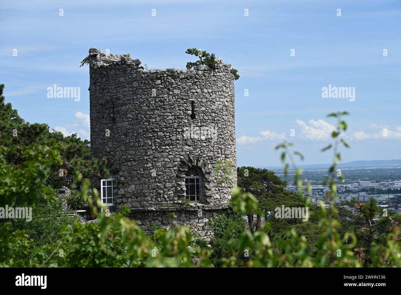 Artificial ruin black tower, Austria Stock Photo - Alamy
