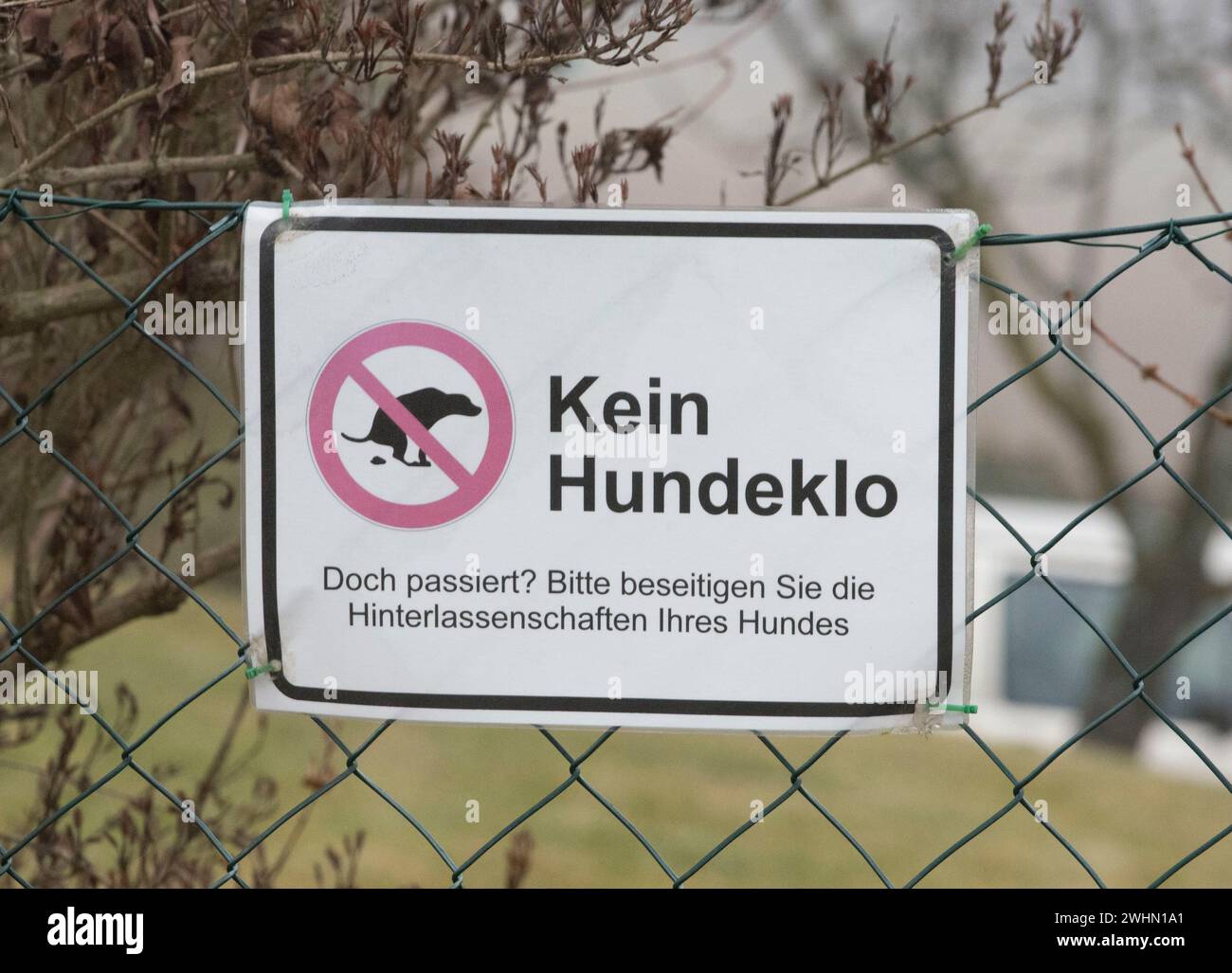 Dog feces environmental pollutant hi-res stock photography and images ...