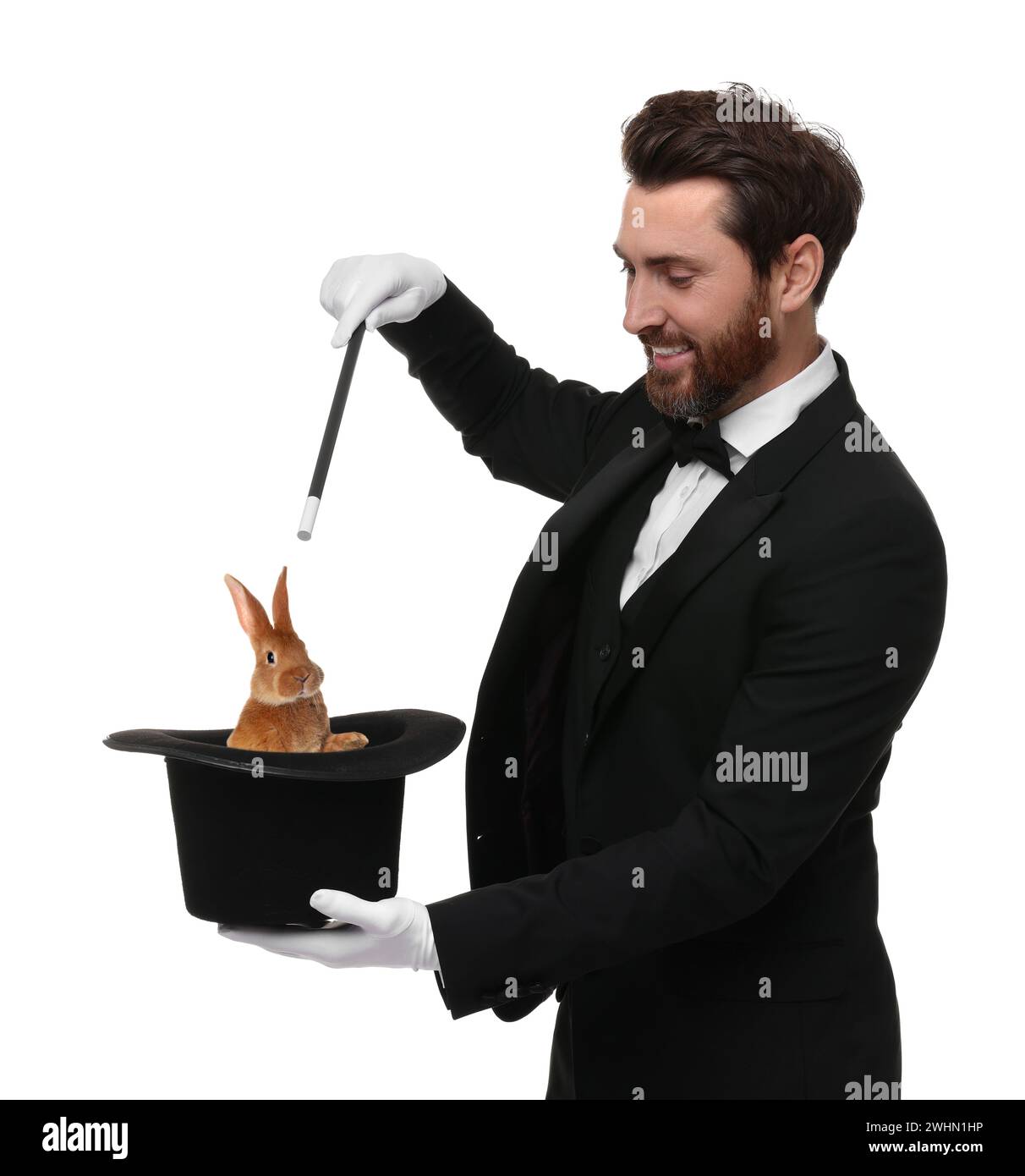 Magician showing trick with top hat and rabbit on white background ...
