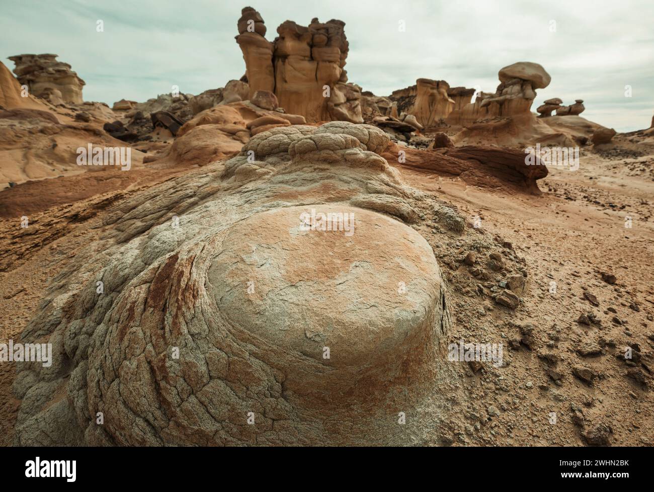 The bizarre landscape of the Bisti Badlands or De-Na-Zin Wilderness in ...