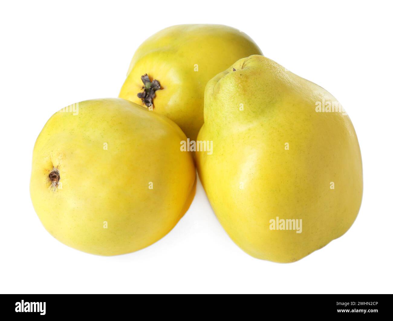 Delicious fresh ripe quinces isolated on white Stock Photo - Alamy