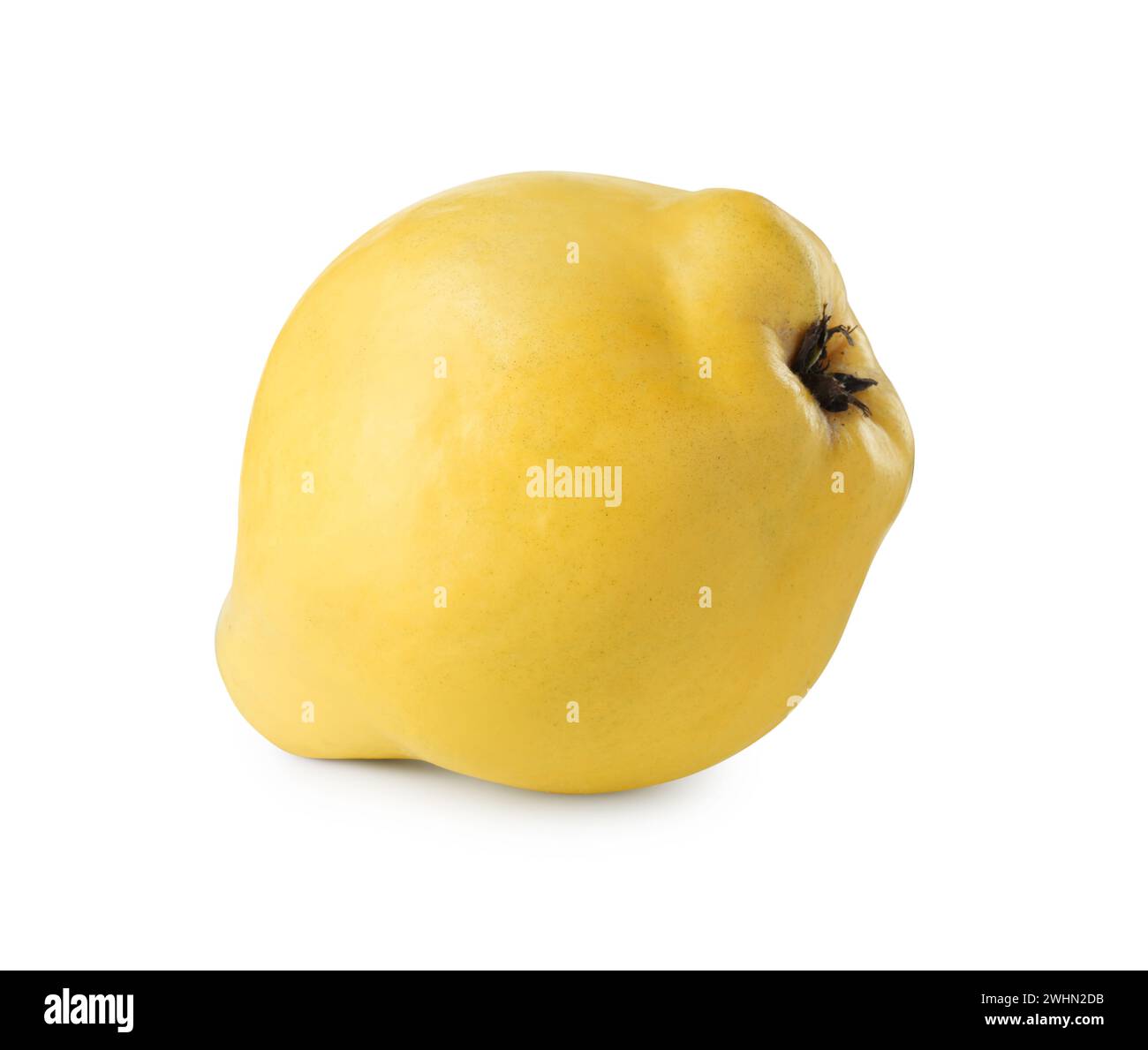Delicious fresh ripe quince isolated on white Stock Photo - Alamy