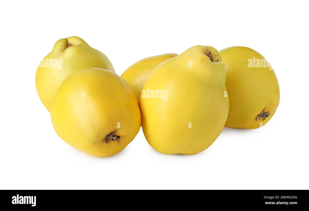 Delicious fresh ripe quinces isolated on white Stock Photo - Alamy