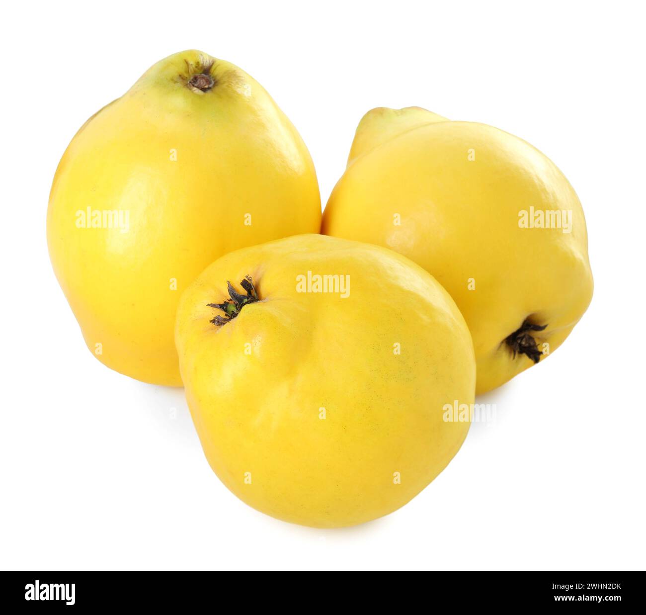 Delicious fresh ripe quinces isolated on white Stock Photo - Alamy