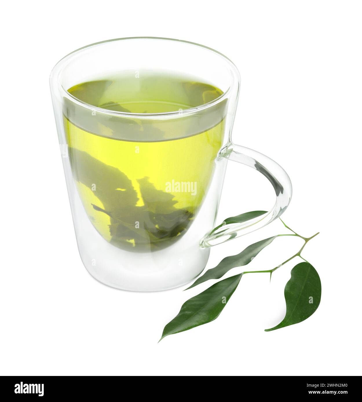 Fresh green tea in glass mug and leaves isolated on white Stock Photo ...