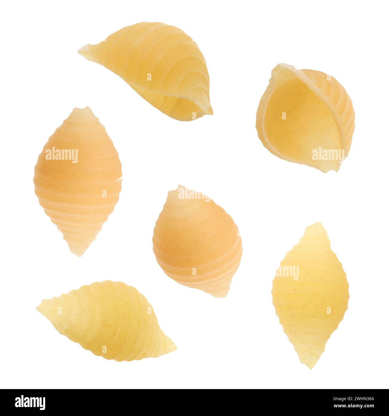 Raw conchiglie pasta isolated on white, set Stock Photo - Alamy