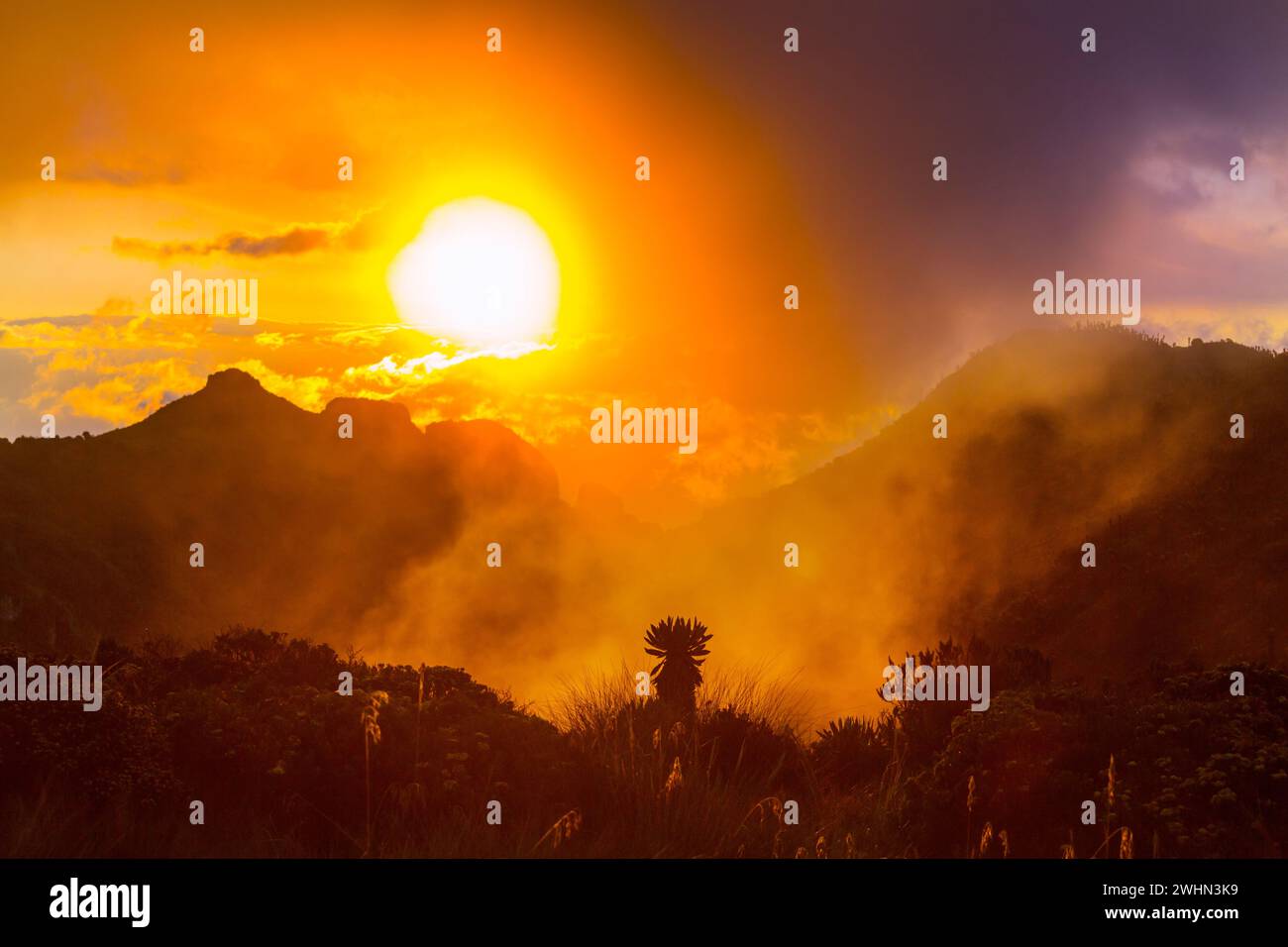 Colombia sunset hi-res stock photography and images - Alamy