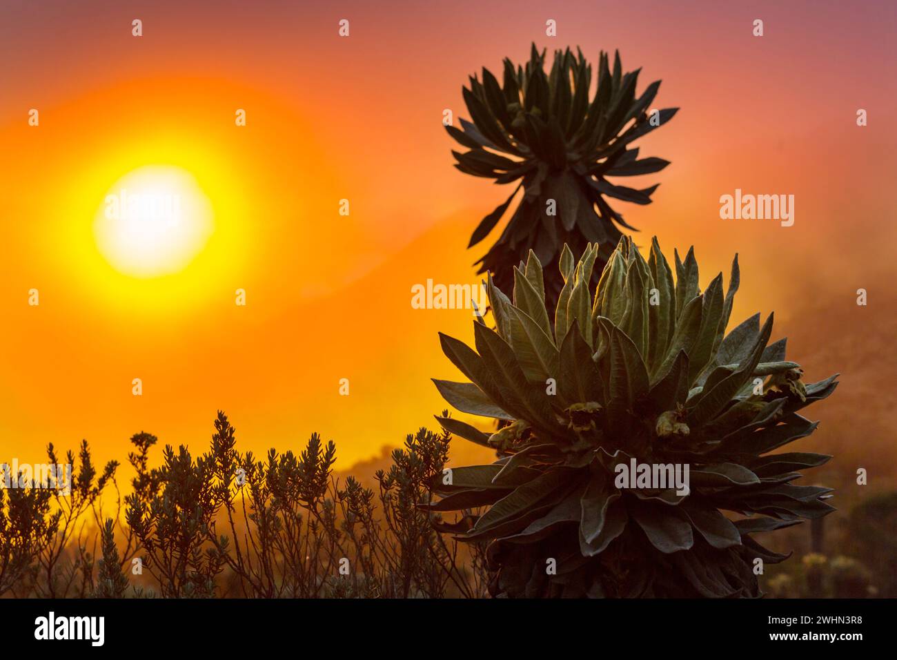 Colombia sunset hi-res stock photography and images - Alamy
