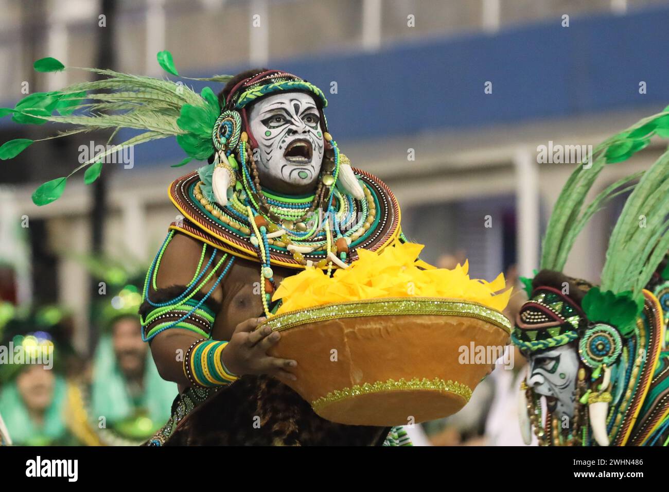 Members of the Camisa Verde e Branco Samba School during the Carnival ...