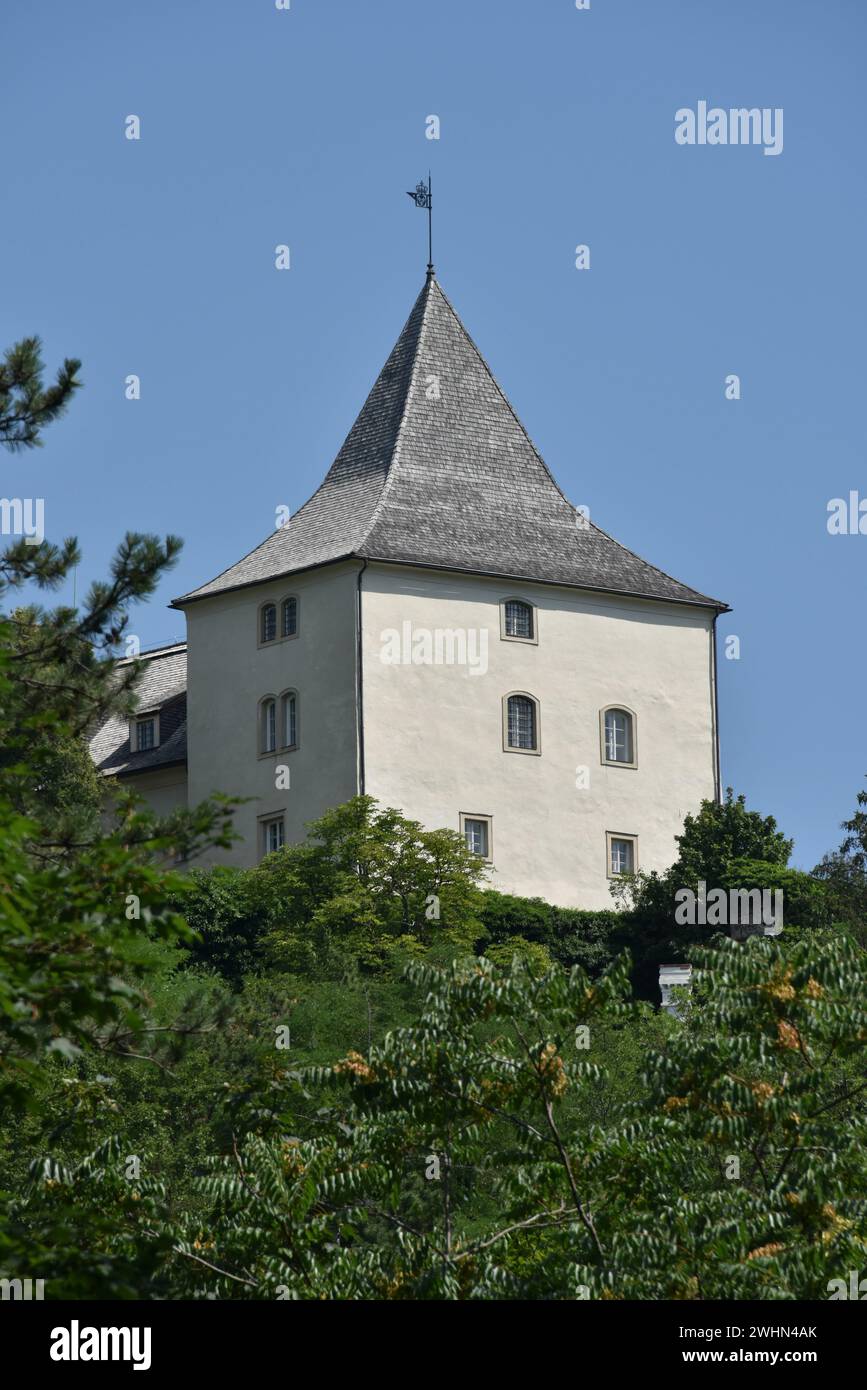 Pitten hi-res stock photography and images - Alamy