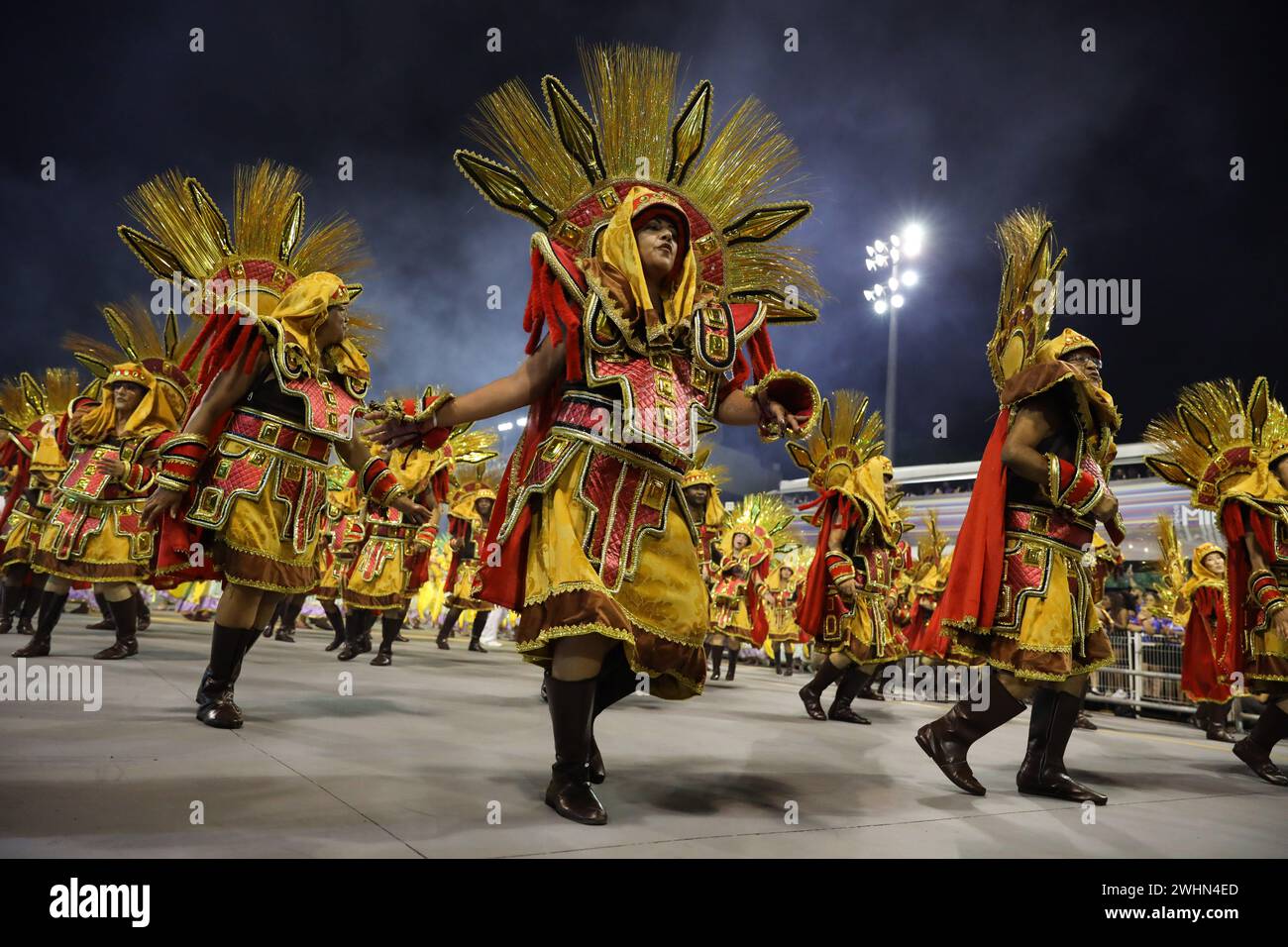 Members of the Camisa Verde e Branco Samba School during the Carnival ...