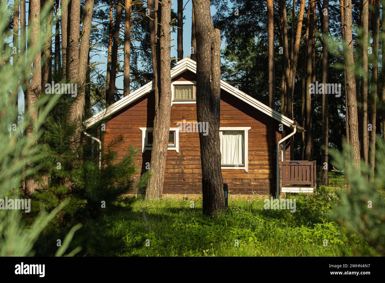 Cozy small wooden house cottage in a pines forest in summer. Rustic ...