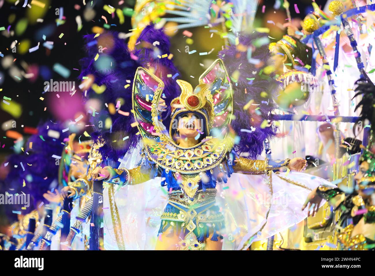 Members of the Dragões da Real Samba School during the Carnival parade ...