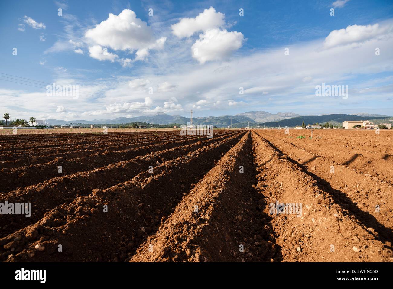 Grooves and furrows hi-res stock photography and images - Alamy