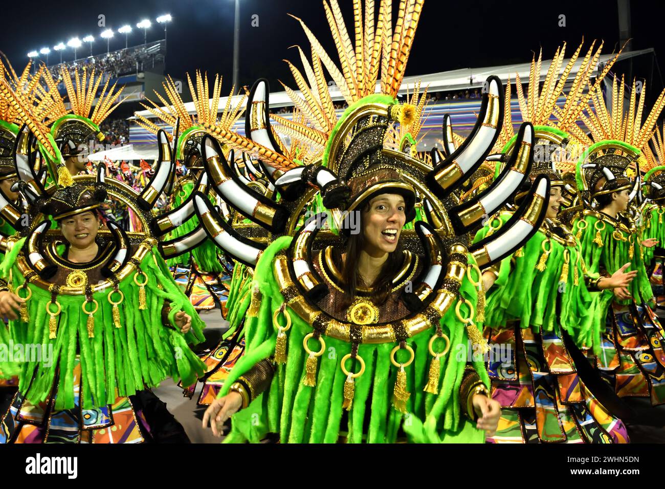 Brazil carnival samba school parades hi-res stock photography and ...