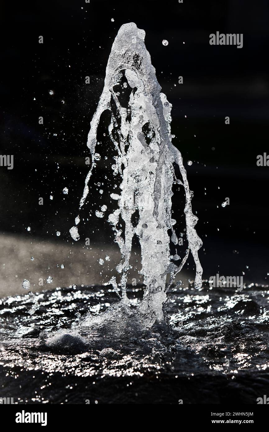 Backlit Kochbrunnen jumper, jumping hot sodium chloride thermal spring ...