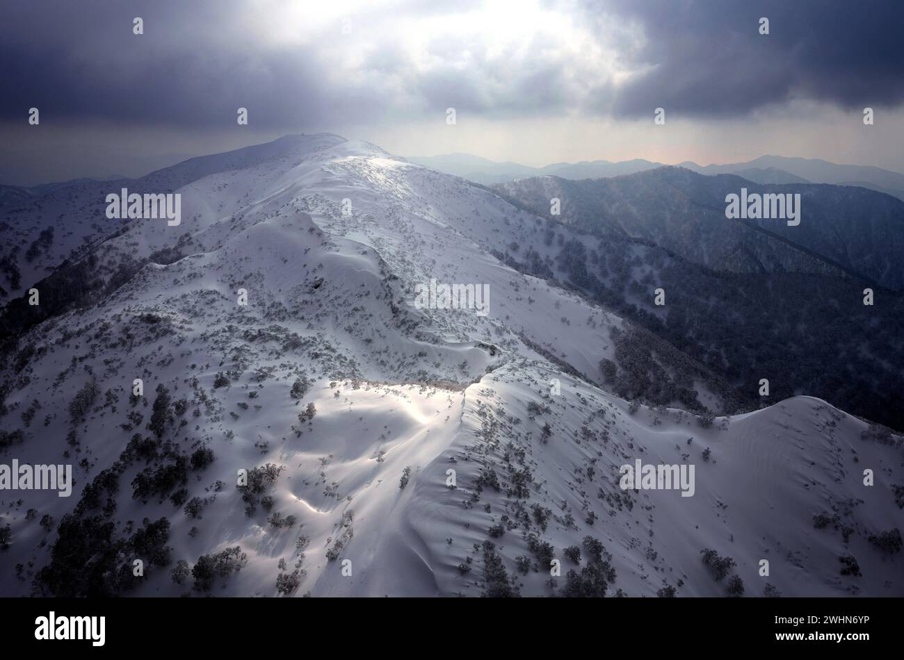 An aerial photo shows Shirakami Sanchi Mountains covered with snow in ...