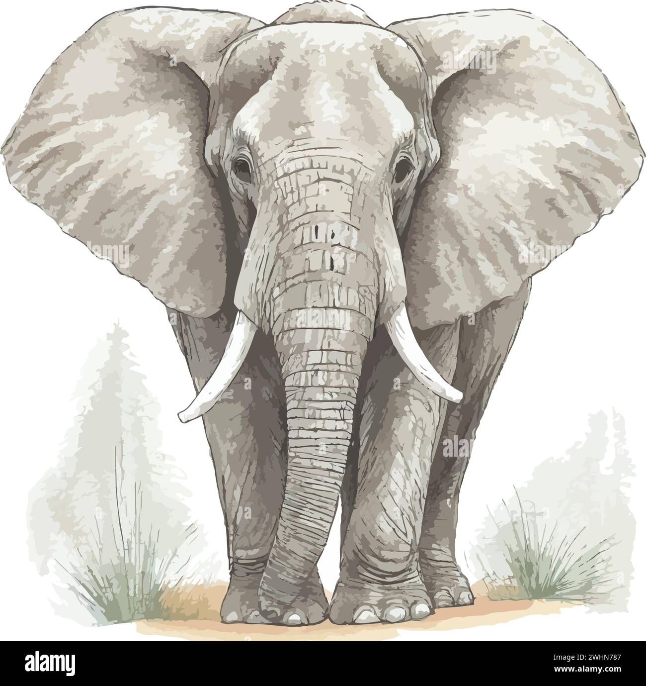 Vintage elephant illustration Stock Vector Images - Alamy