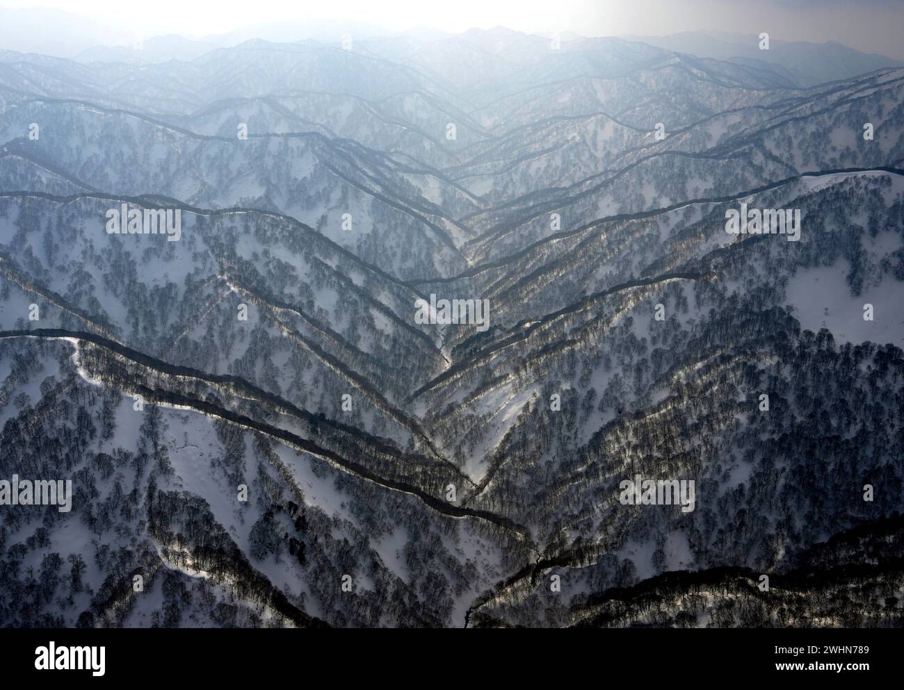 An aerial photo shows Shirakami Sanchi Mountains covered with snow in ...