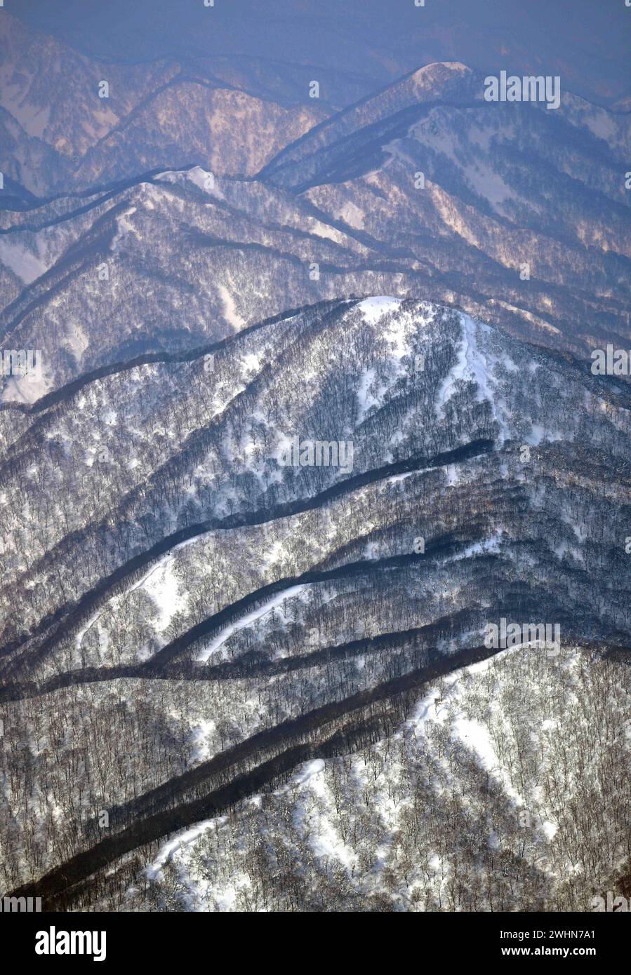 An aerial photo shows Shirakami Sanchi Mountains covered with snow in ...