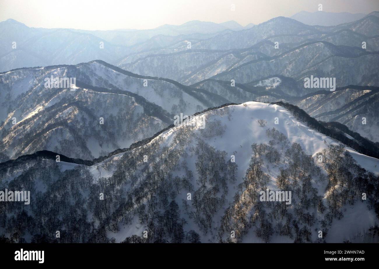 An aerial photo shows Shirakami Sanchi Mountains covered with snow in ...
