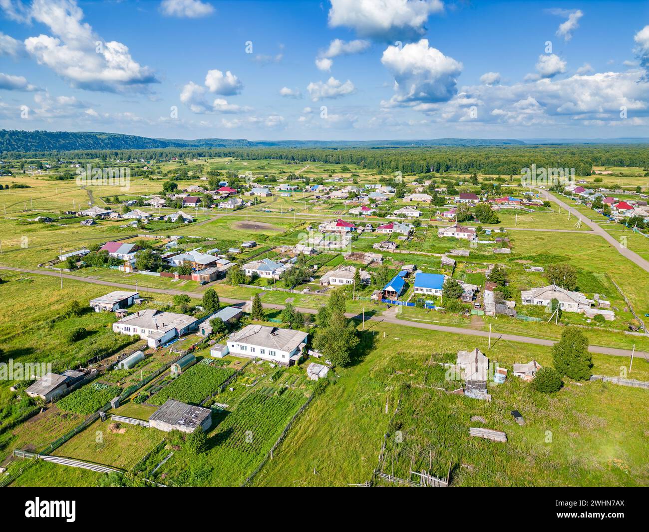 rural summer landscape - a village behind which the forest begins ...