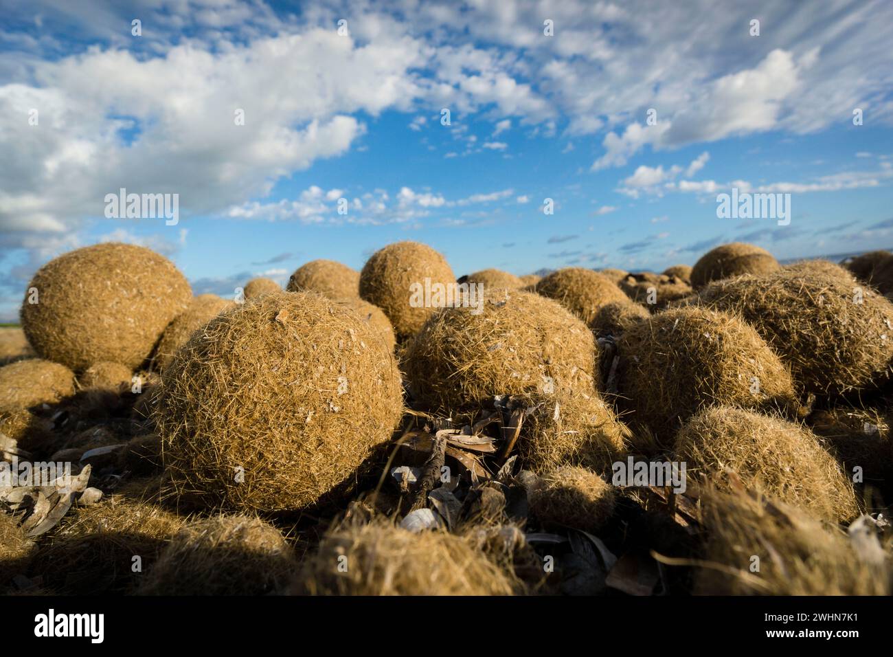 Bolas de color hi-res stock photography and images - Alamy