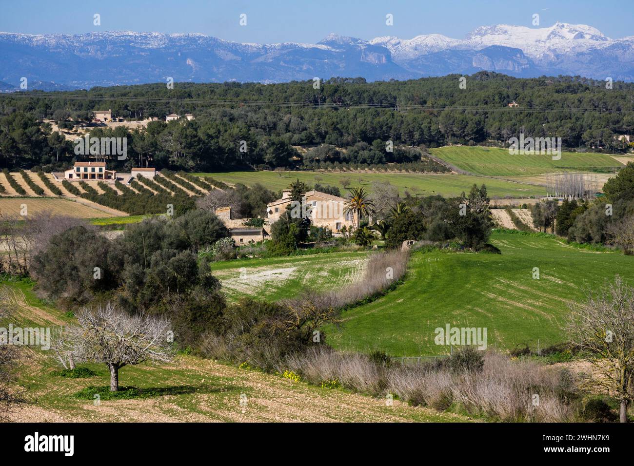 Population of randa hi-res stock photography and images - Alamy