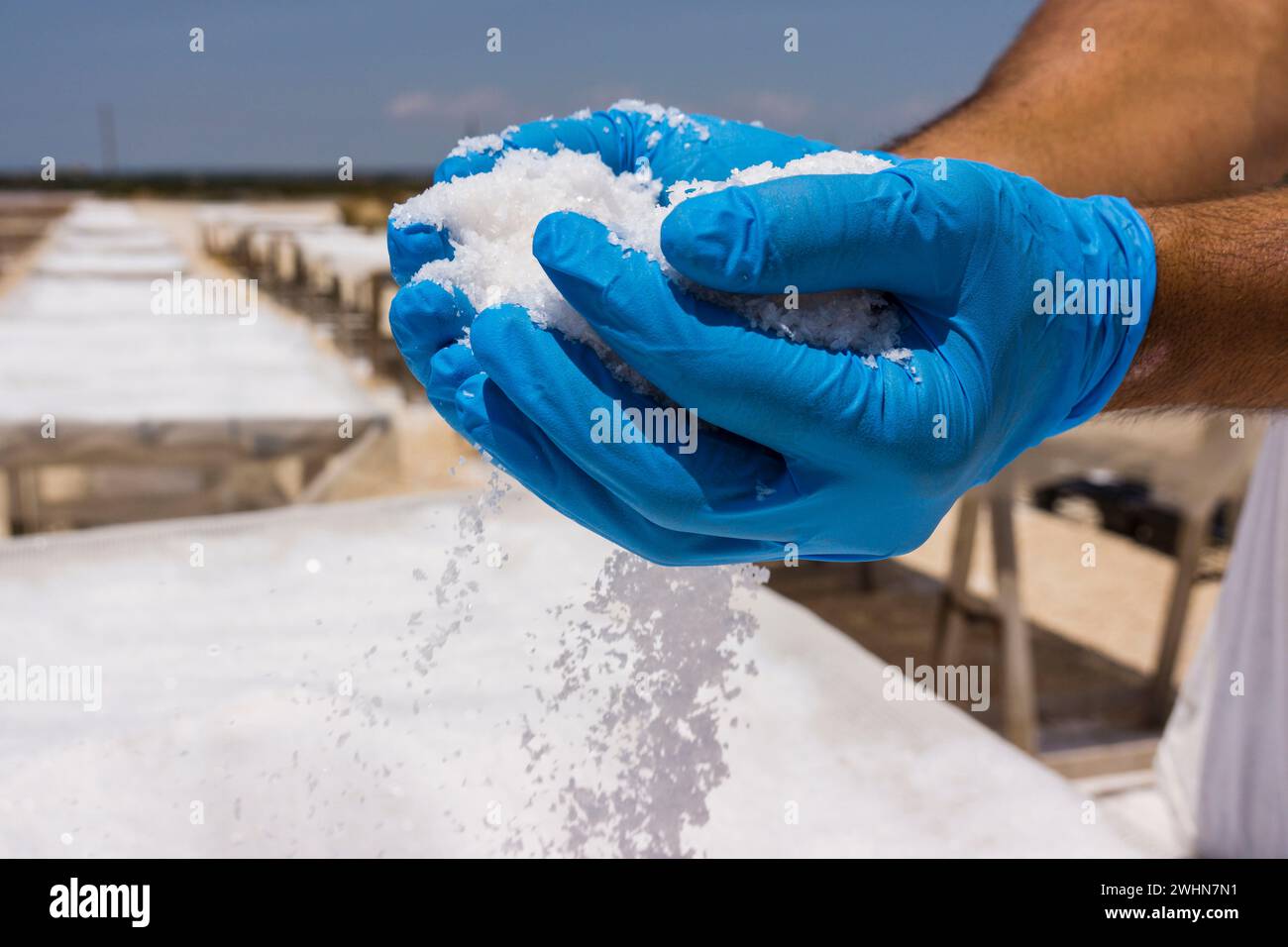 Hands working the salt Stock Photo - Alamy