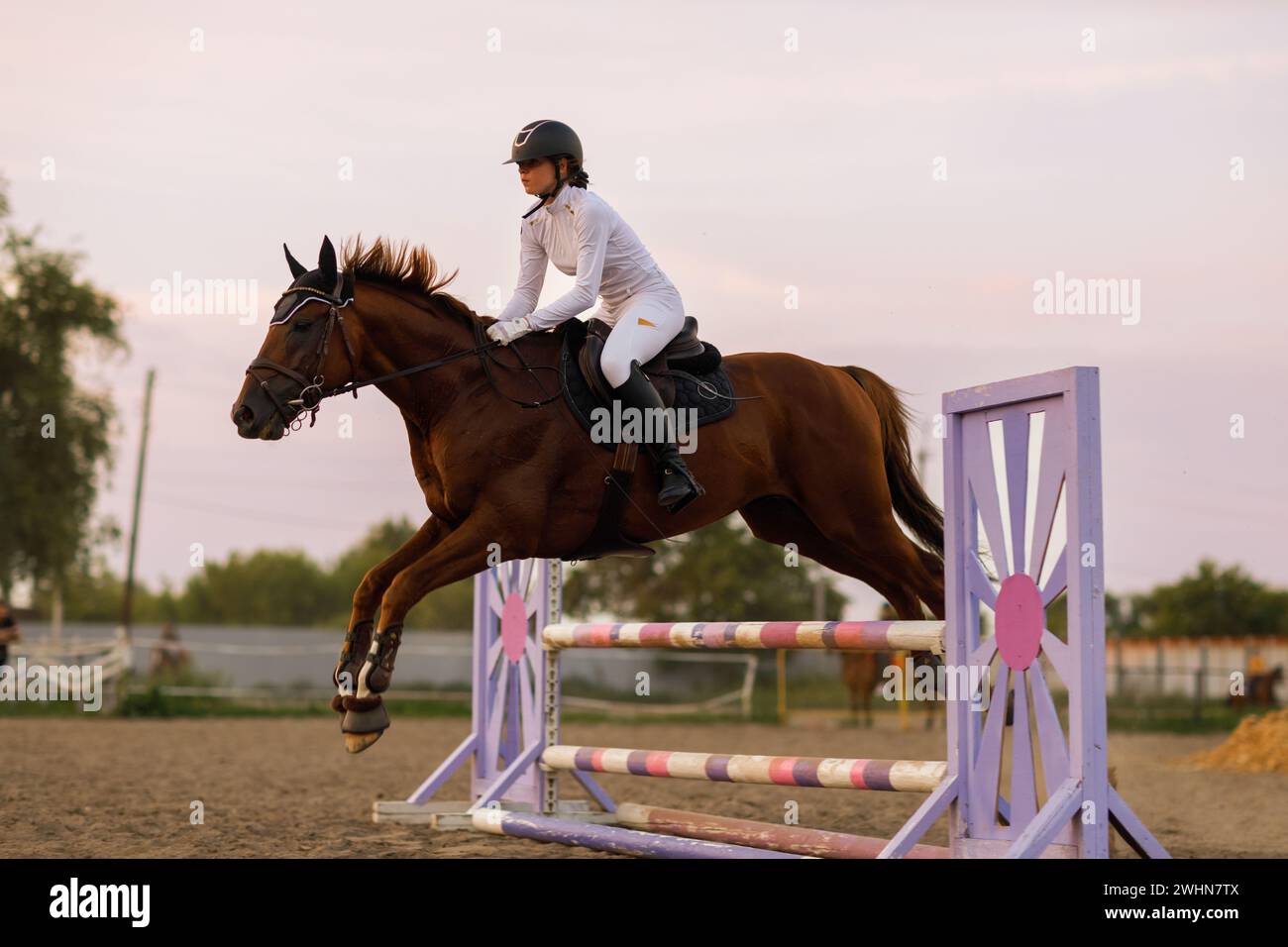 Dressage horse and rider in uniform during equestrian jumping ...