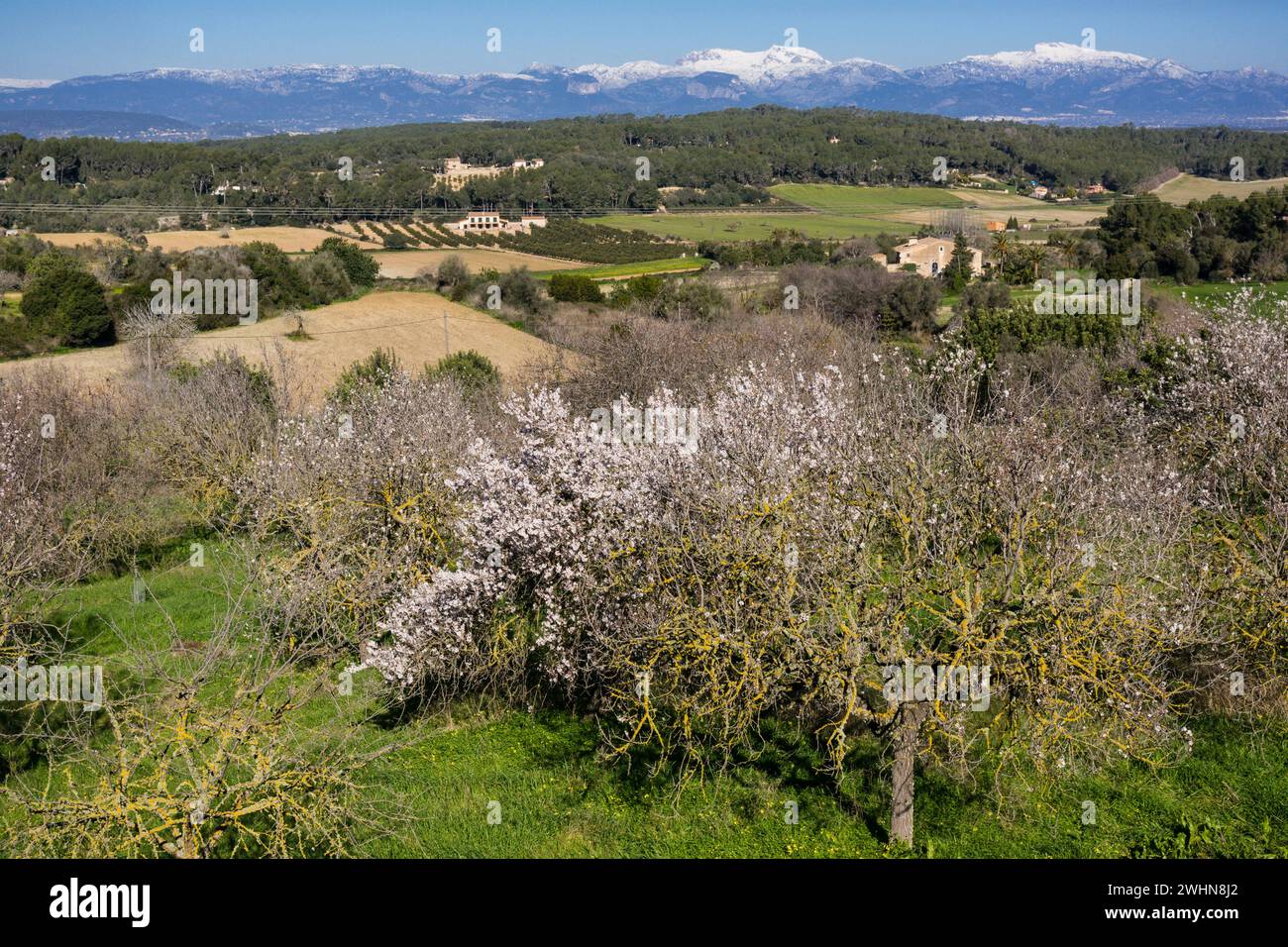 Randa village hi-res stock photography and images - Alamy