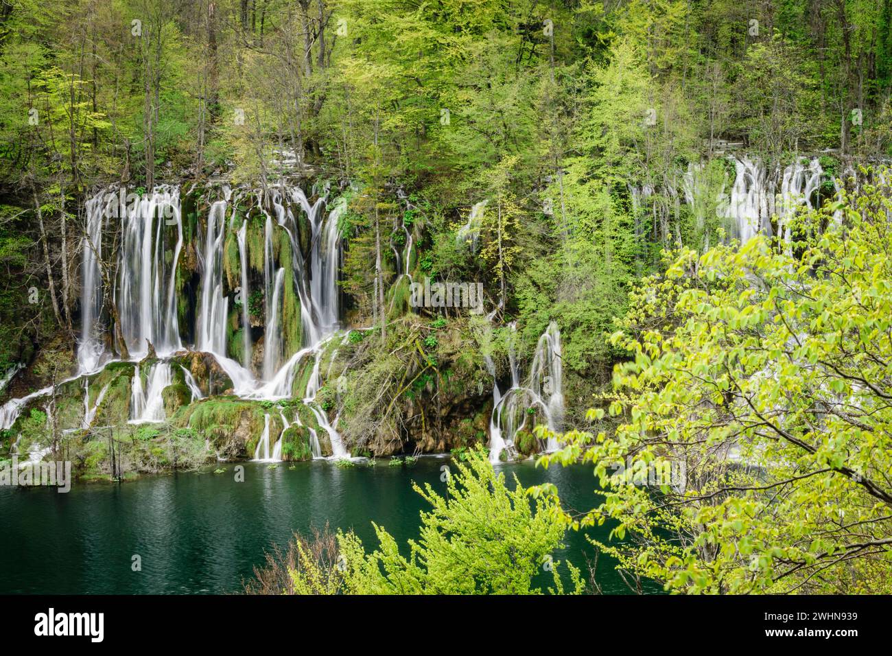 Mundo parque natural hi-res stock photography and images - Alamy