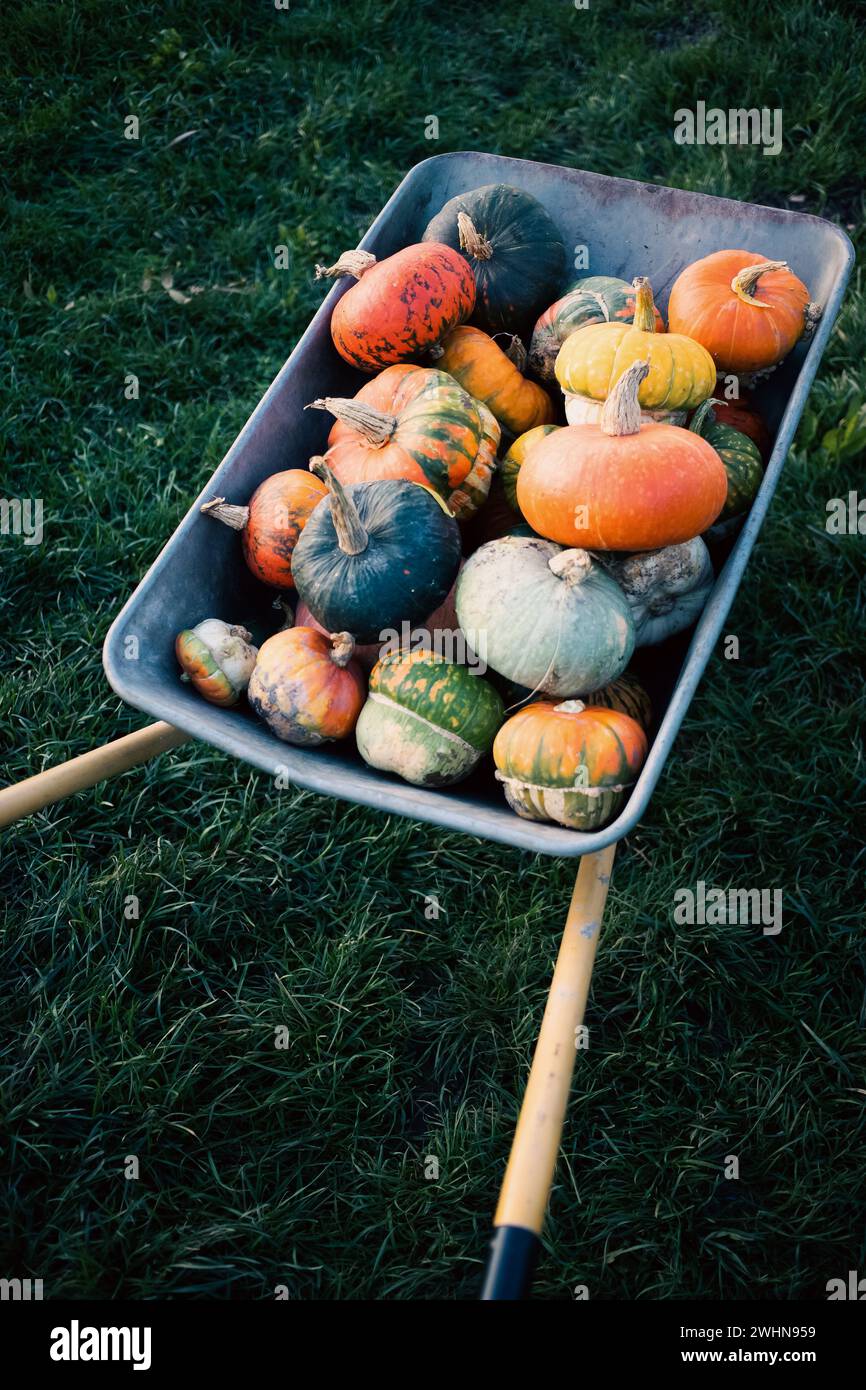 Old dray autumn hi-res stock photography and images - Alamy