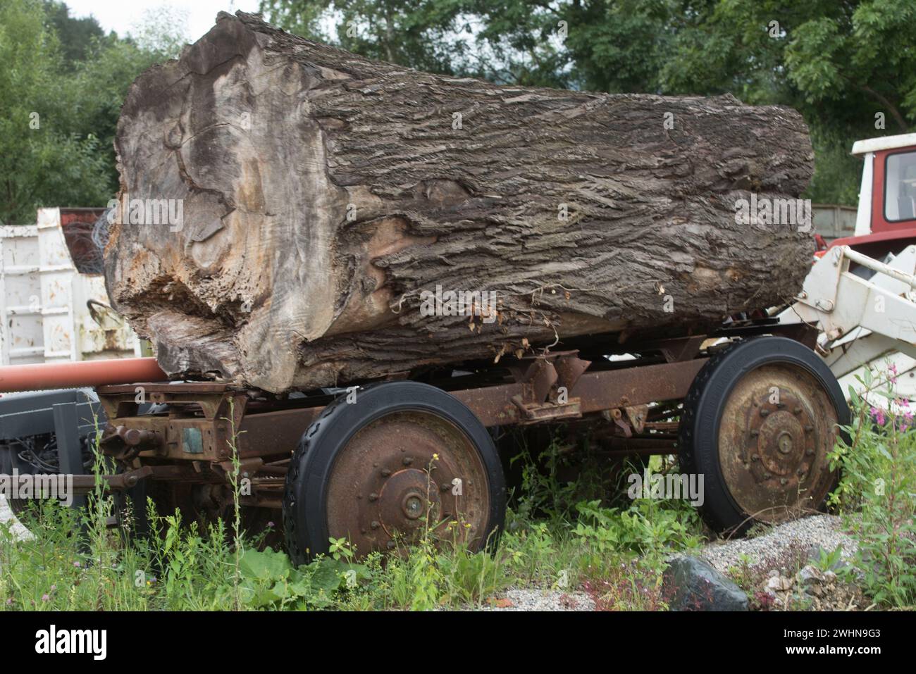 Forestry goods hi-res stock photography and images - Alamy