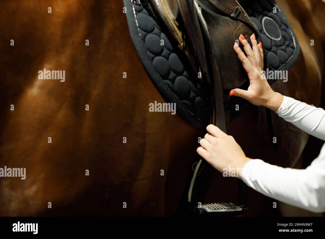 Horse stable racing hi-res stock photography and images - Alamy