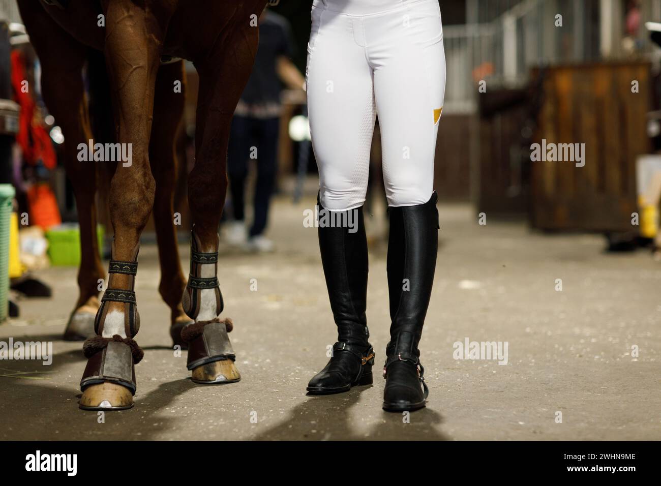 Female legs in black leather boots close up rider jockey walking with ...