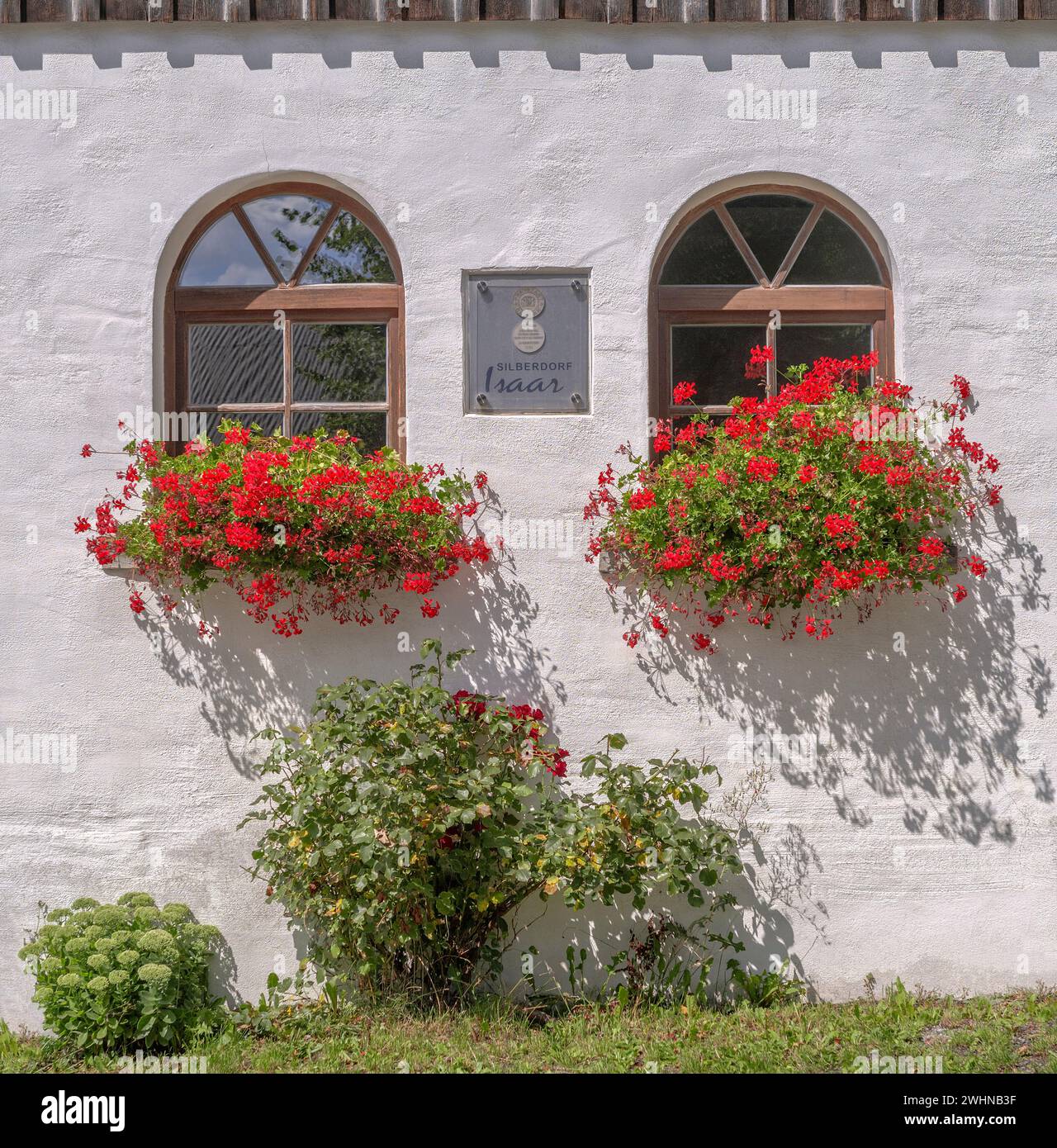 Botanical shadow box hi-res stock photography and images - Alamy