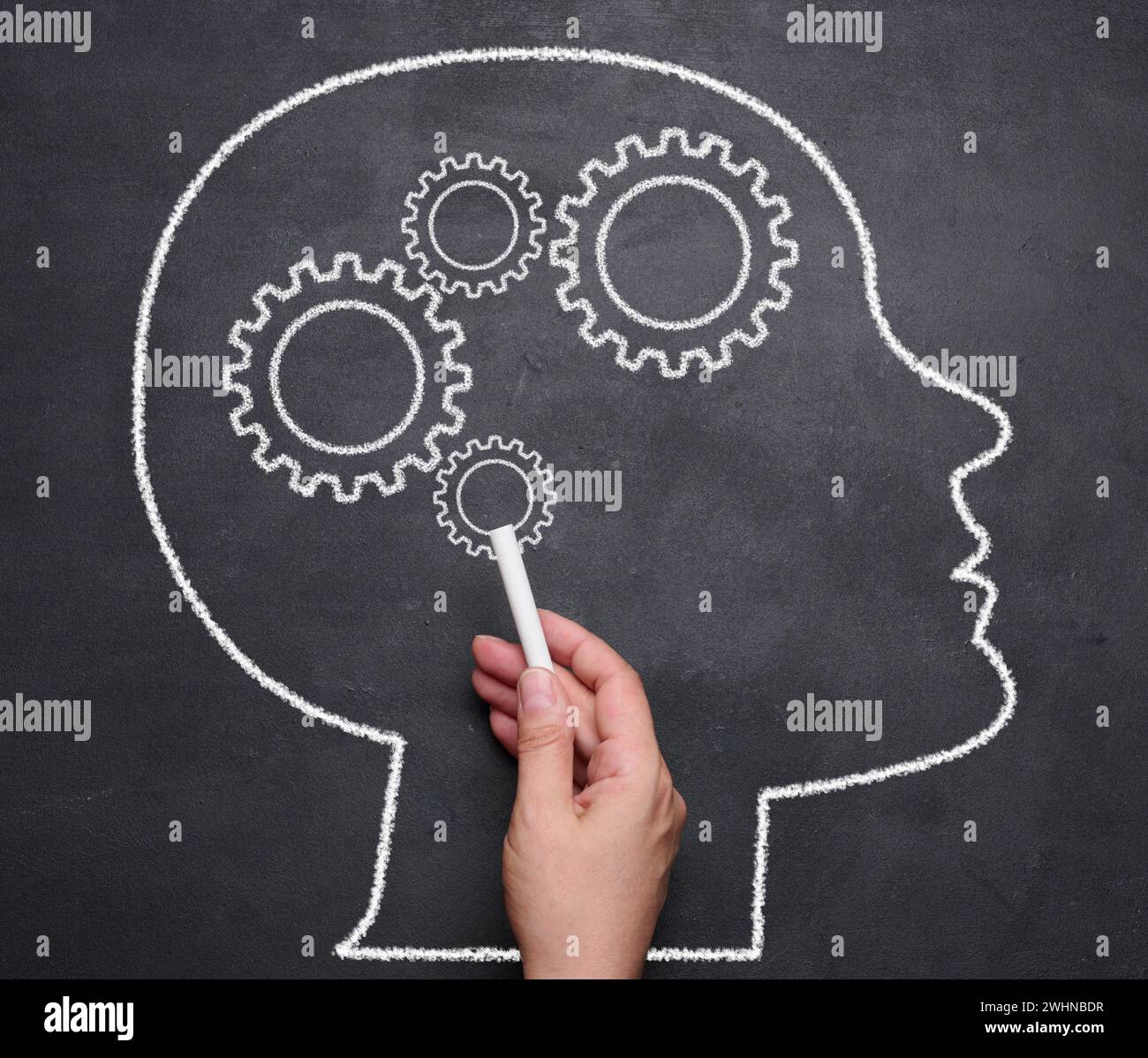 Silhouette of a head and a brain consisting of cogs. Concept of ...