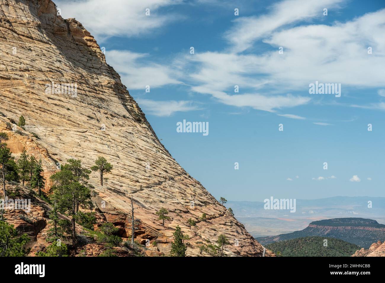 Treeline Side Profile View Of Northgate Peaks In Zion National Park ...