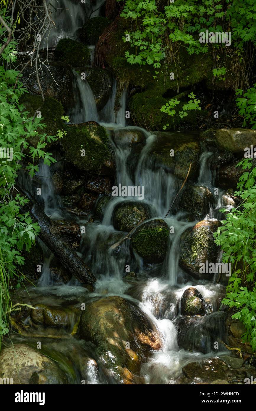 Water tumbles over rocks hi-res stock photography and images - Alamy