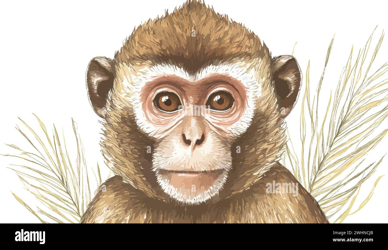 White hand monkey Stock Vector Images - Alamy