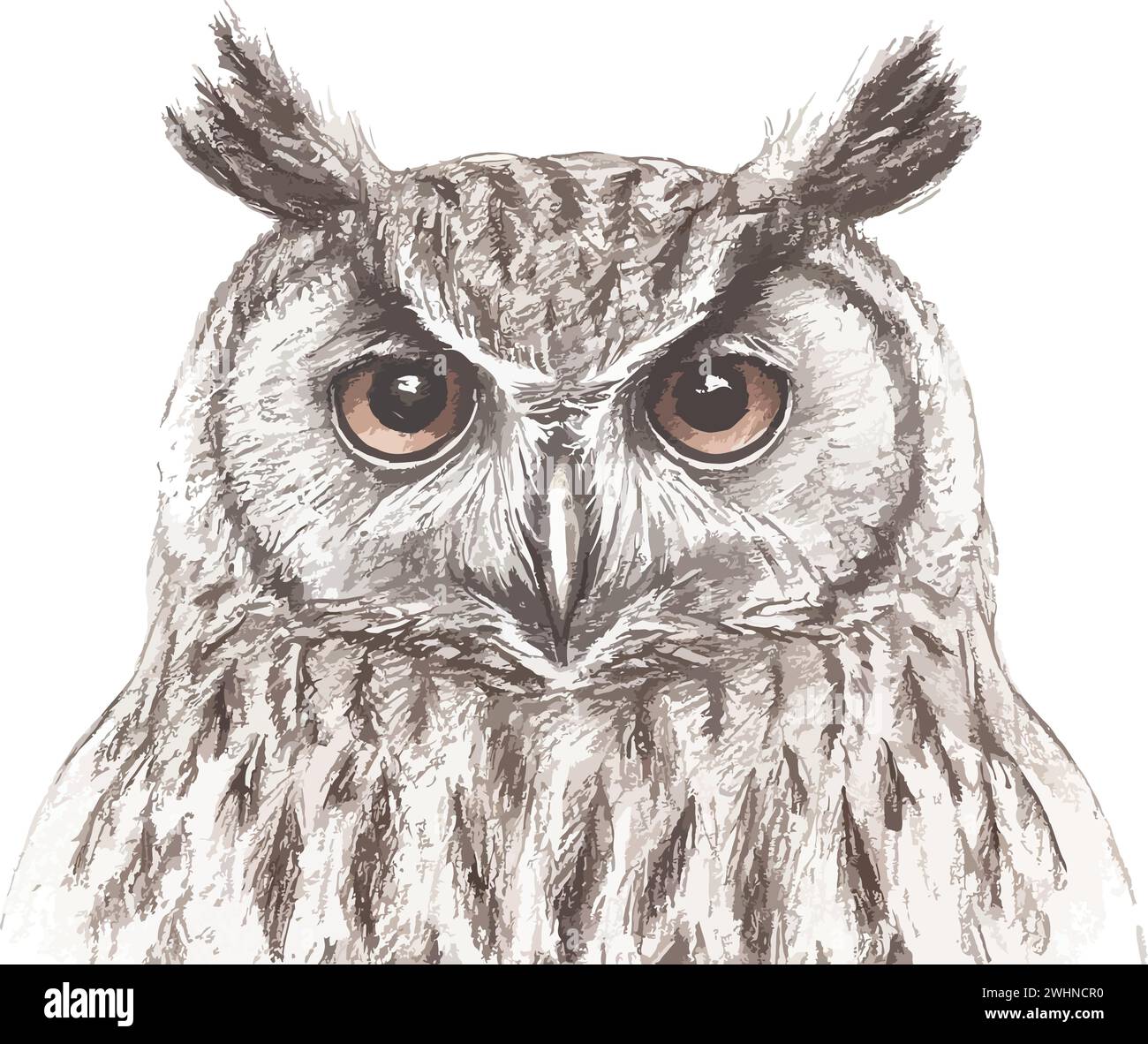 Hand drawn owl Stock Vector Images - Alamy