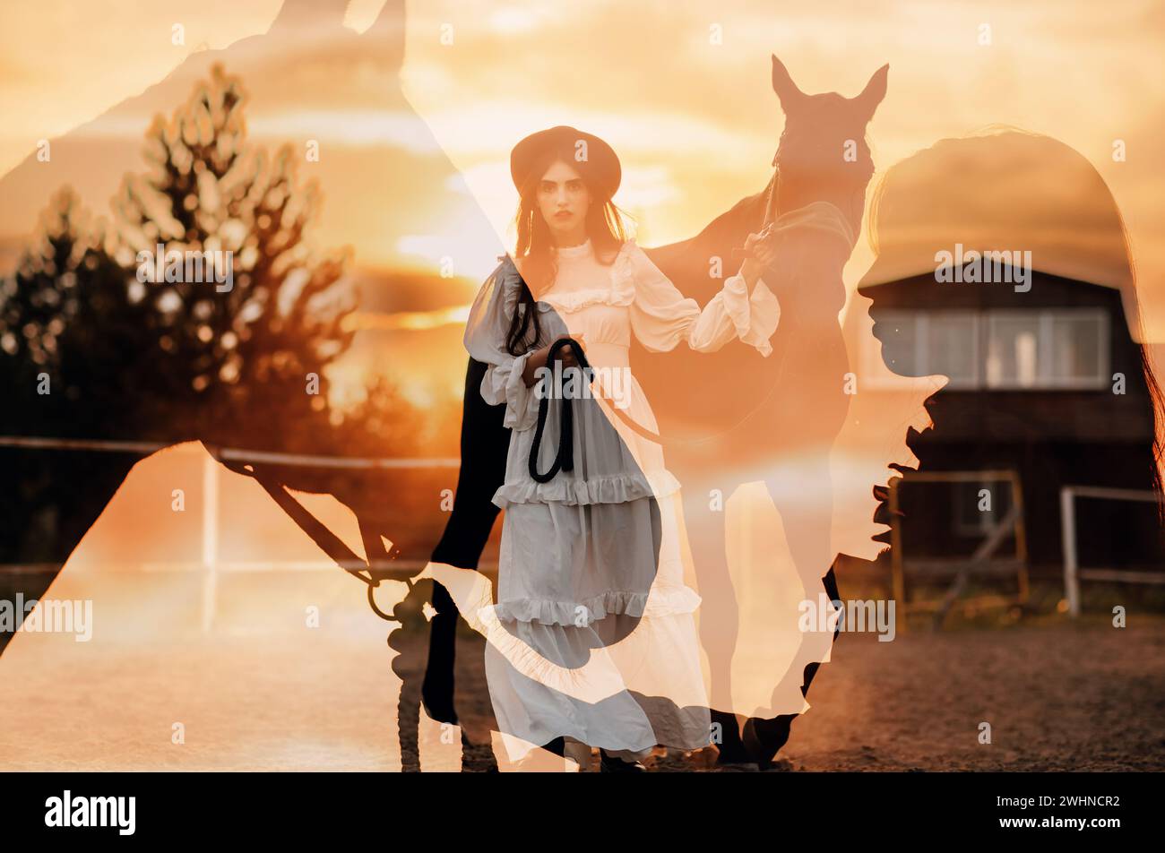 Woman silhouette with her horse at outdoors ranch Stock Photo - Alamy