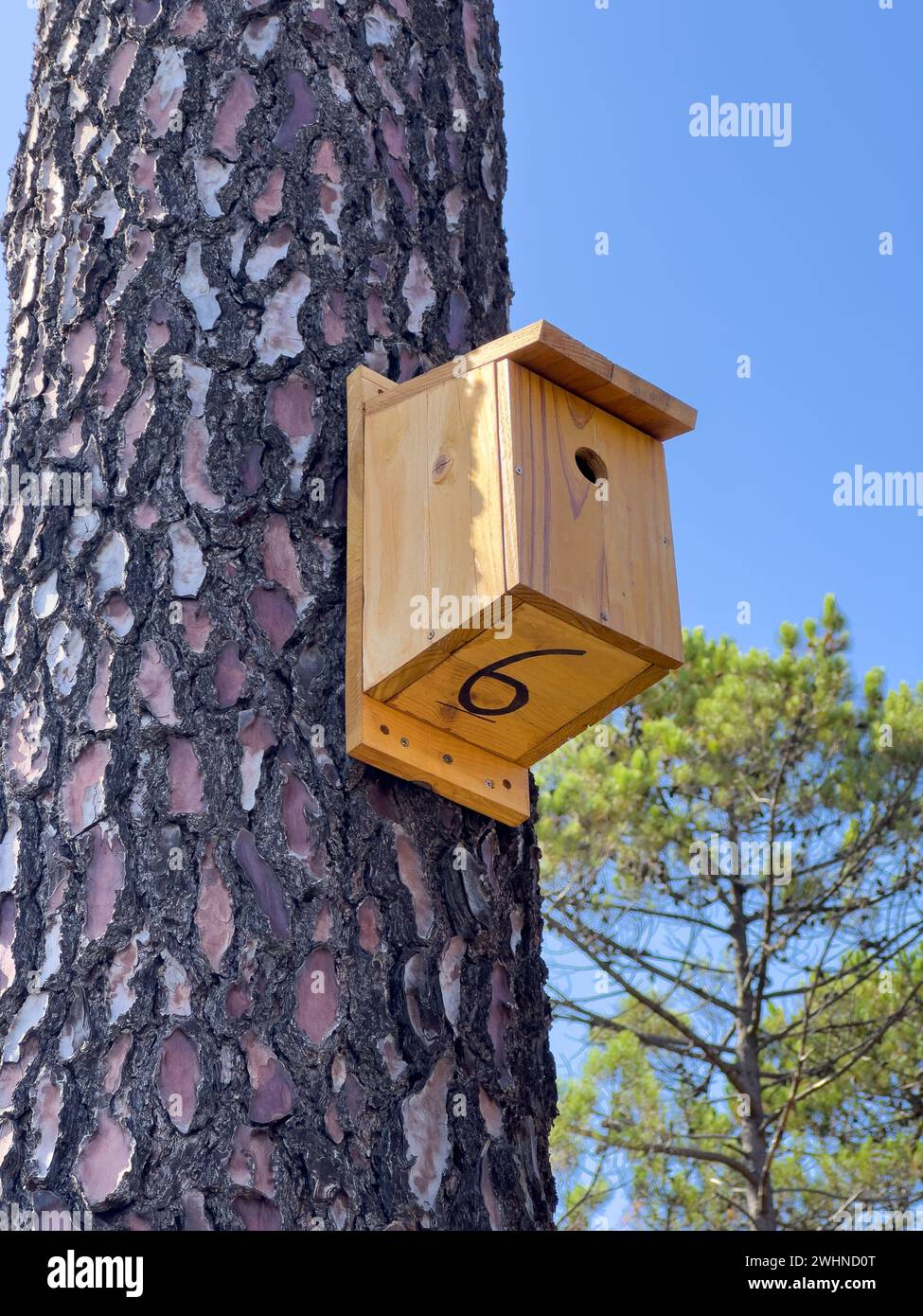 Nesting box bird house hi-res stock photography and images - Alamy
