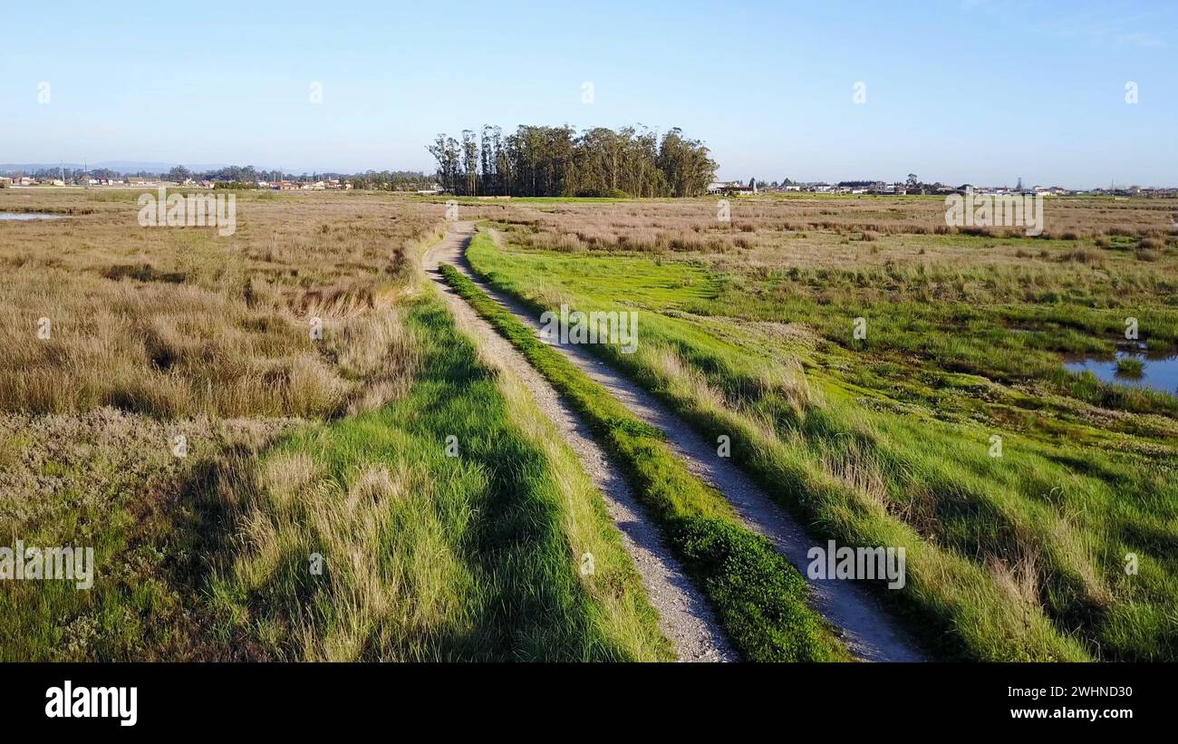 Field way on the green field at Esteiro da Tojeira near the Aveiro ...